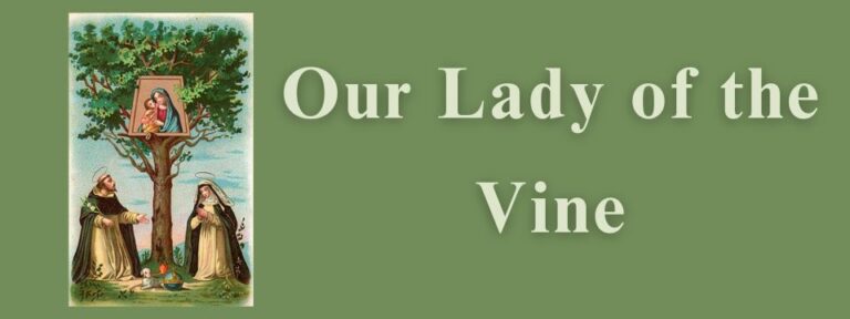 Our Lady of the Vine – South Africa Needs Our Lady